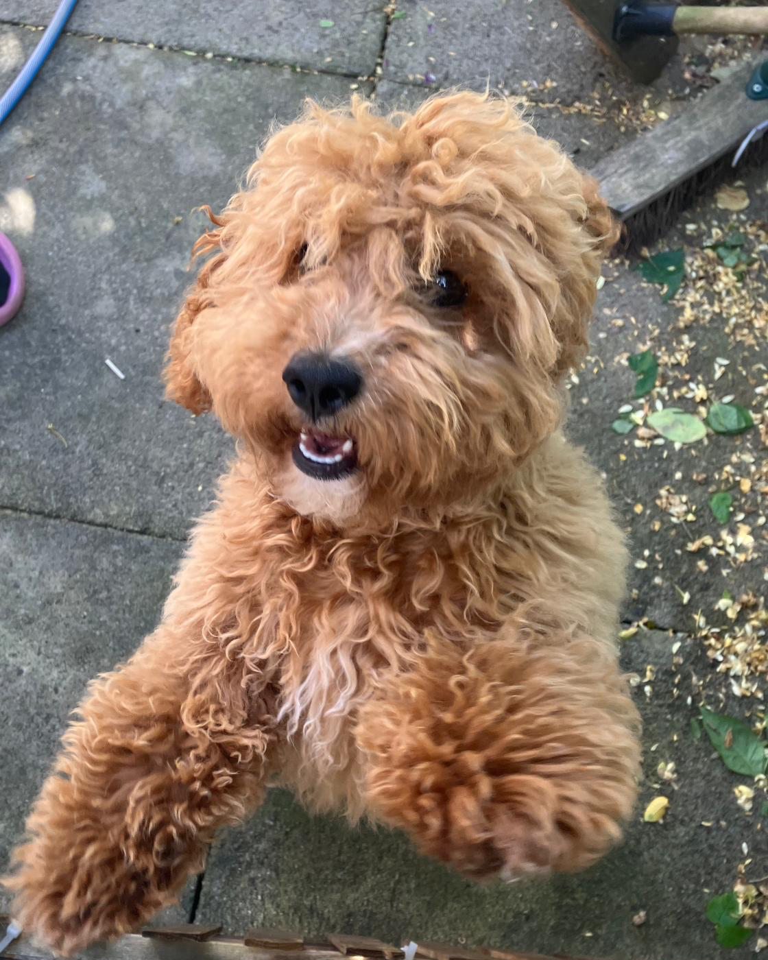 Dr Ellie Chowns for North Herefordshire - Ellie Chowns for North Herefordshire